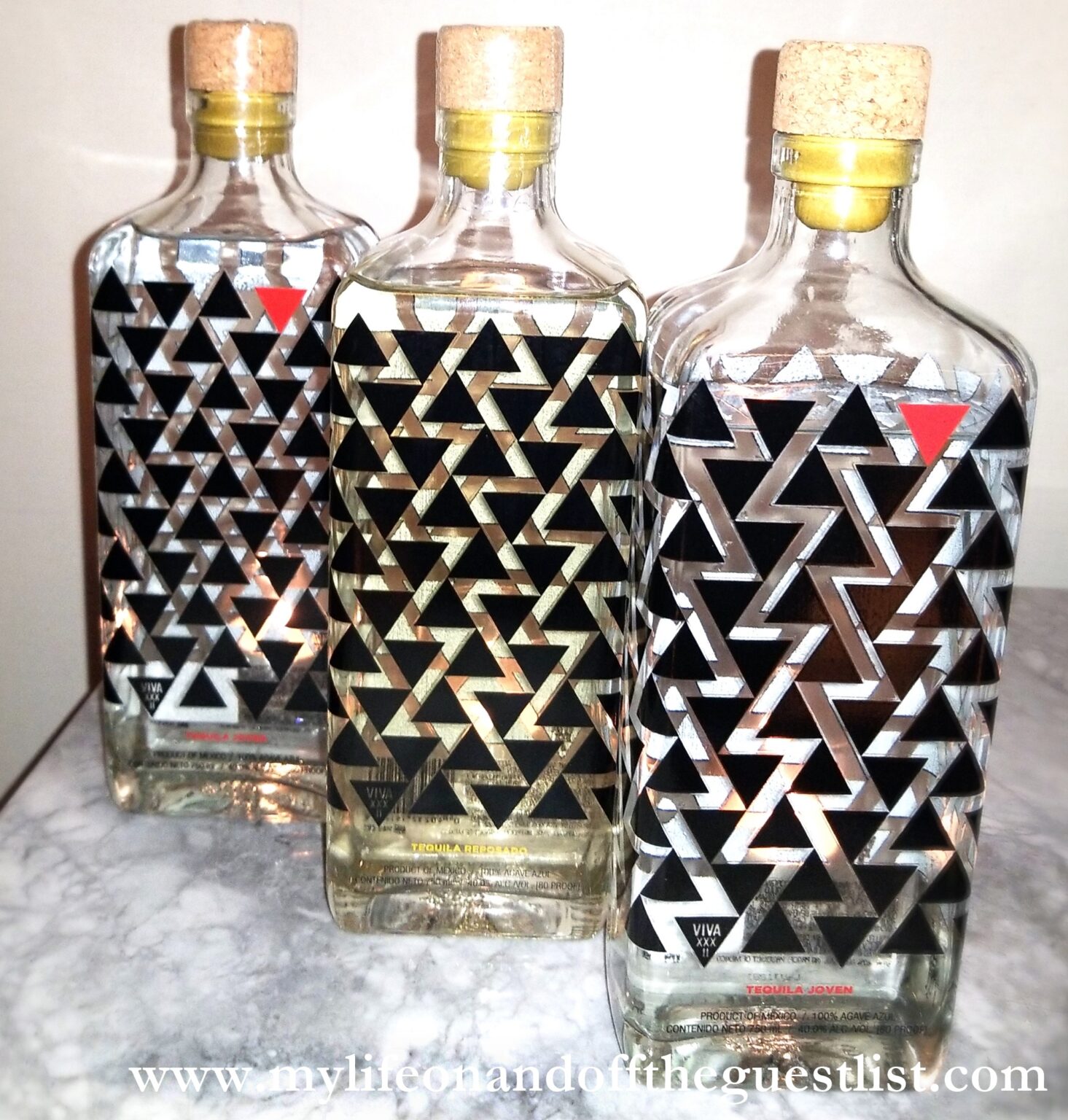 The Tasting Room: An Evening With Joey Angelo and VIVA XXXII Tequila