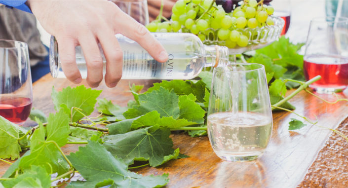 Refreshingly NEW: O.Vine Wine-Grape Infused Water
