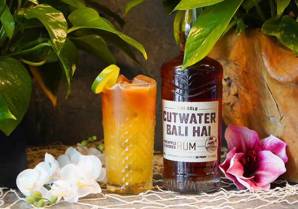 Refreshing and Delicious Summer Rum Recipes For National Rum Month