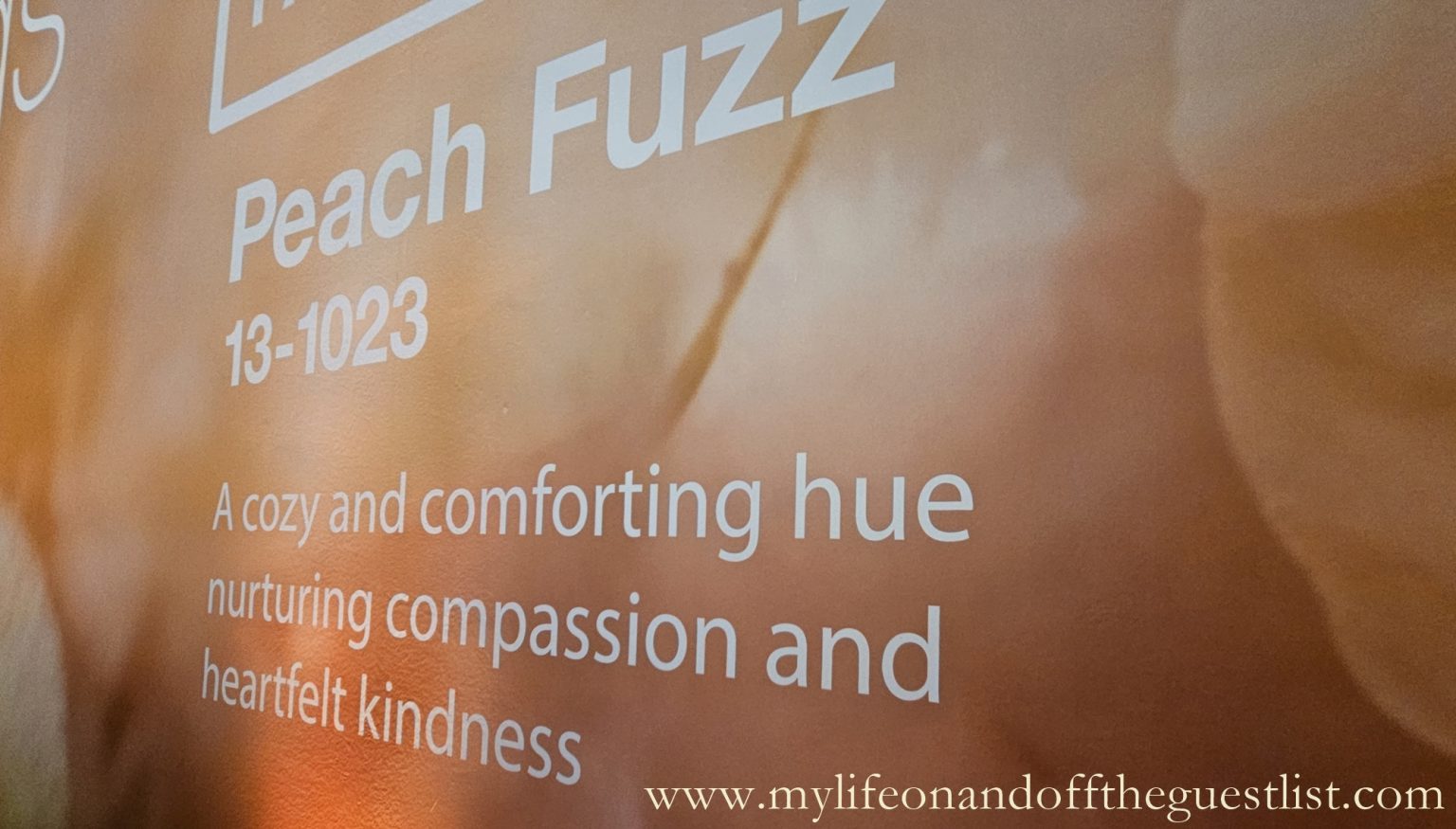 The Pantone Color of the Year 2024 is Peach Fuzz 13-1023!